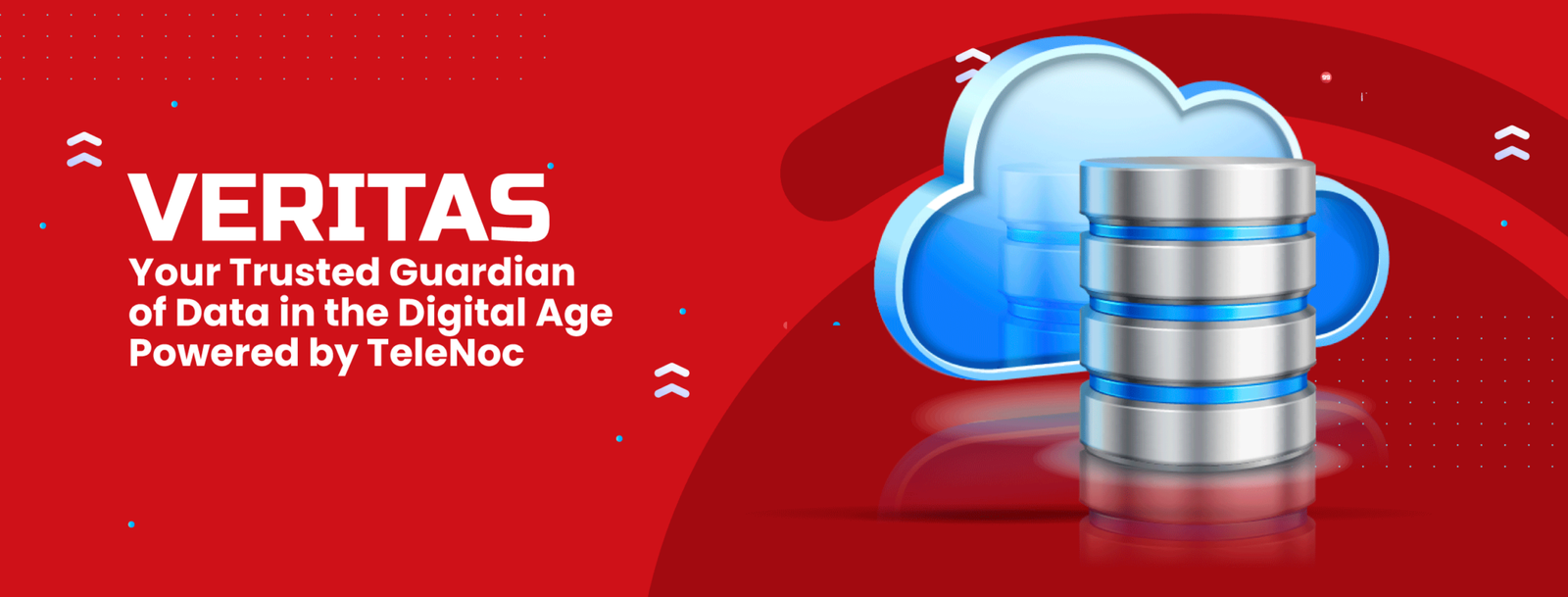 Veritas Partner in Saudi Arabia - TeleNoc Distributor & Reseller KSA